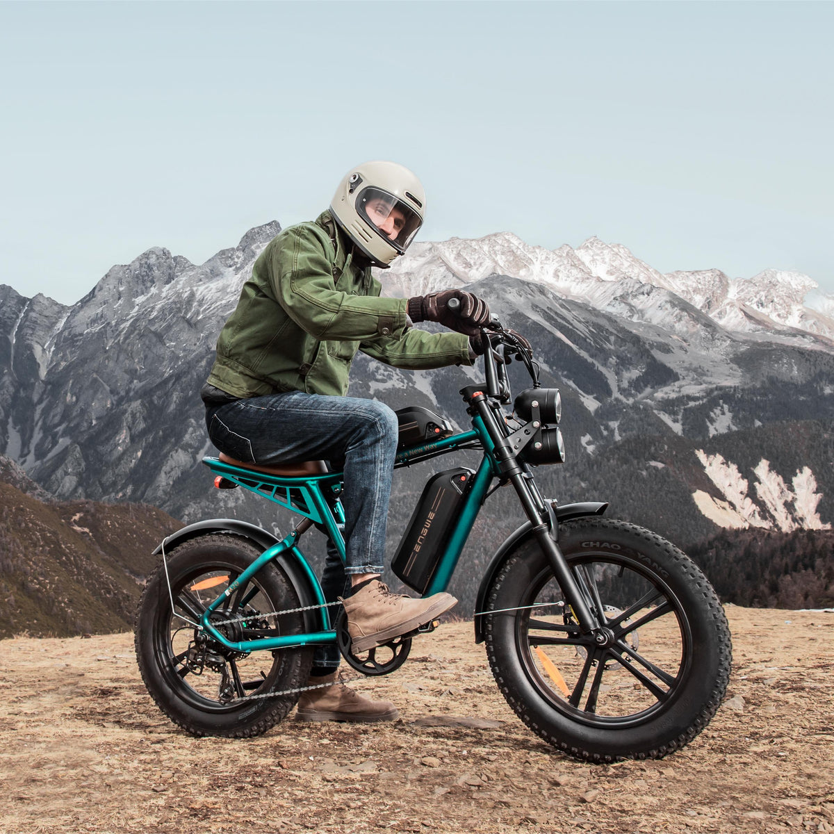 ENGWE M20 Dual Batteries and Long Cruising range e-Fat Bike: Recommend ...