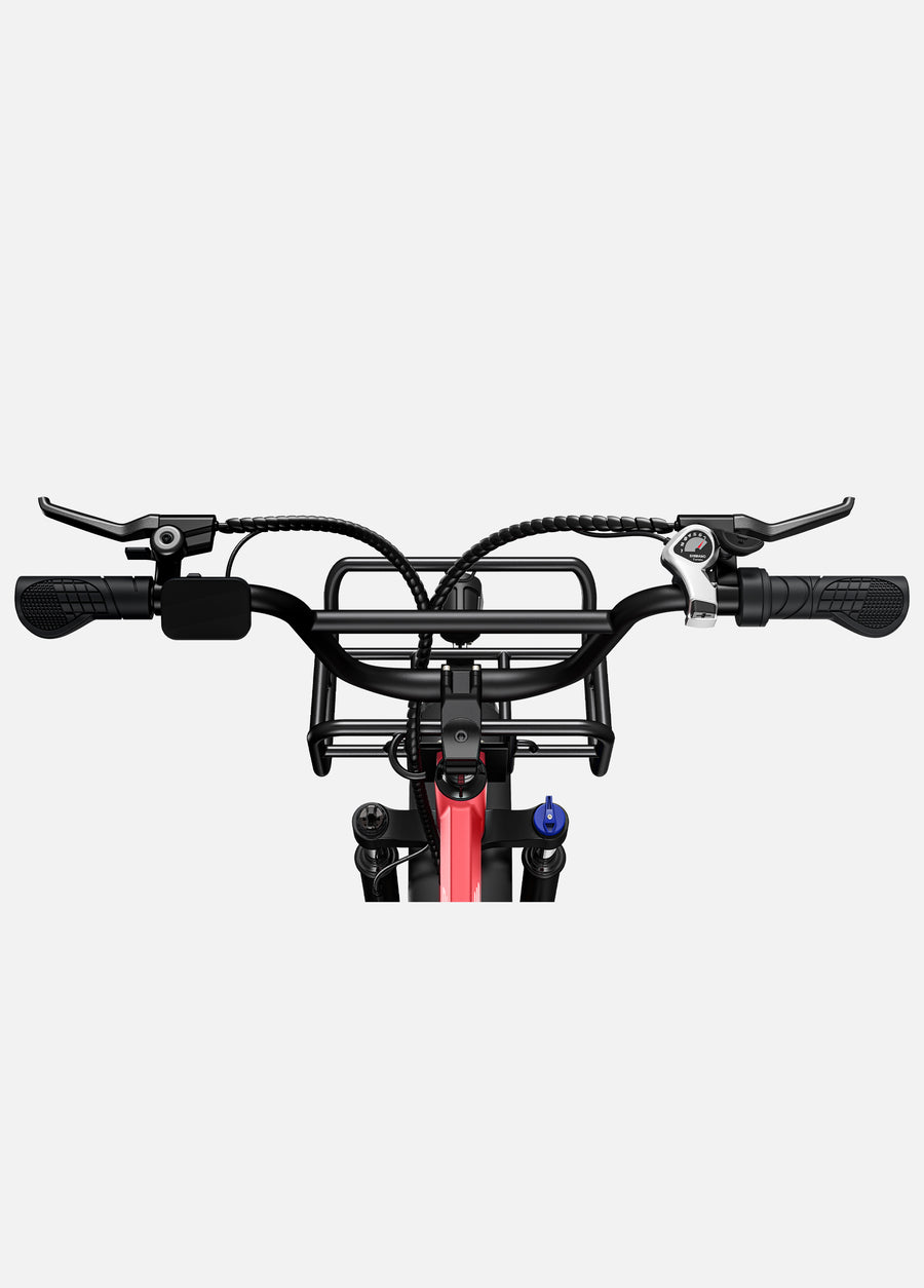 Engwe L20 Step-thru E Fatbike | 50Nm Torque 140KM Range - ENGWE EU ...
